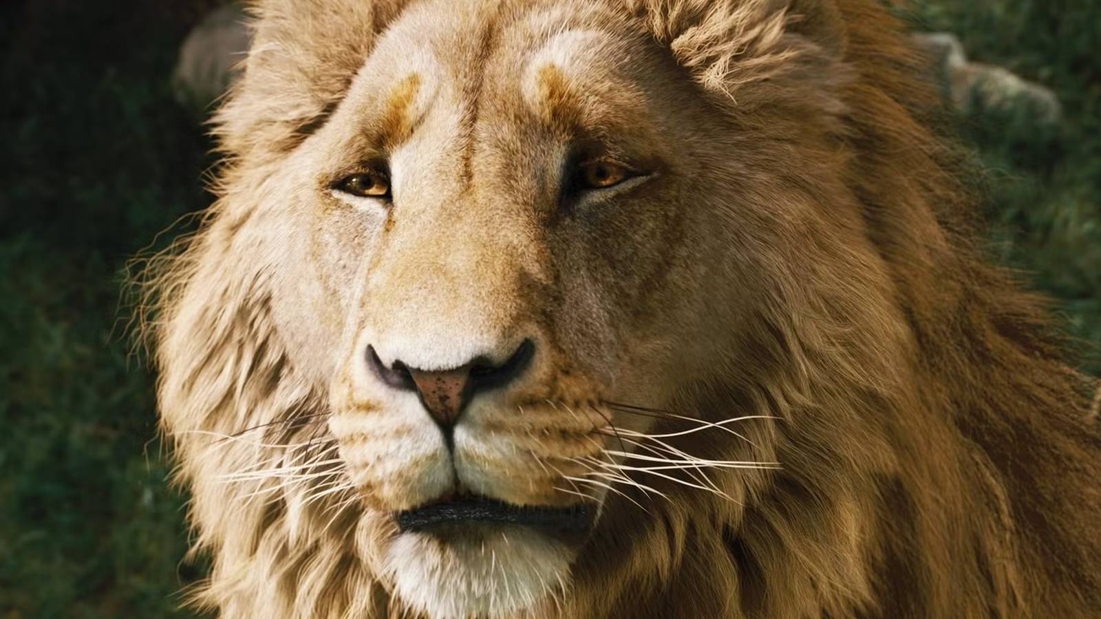 Disney's Chronicles of Narnia Trilogy Is 'Lord of the Rings' Meets ...