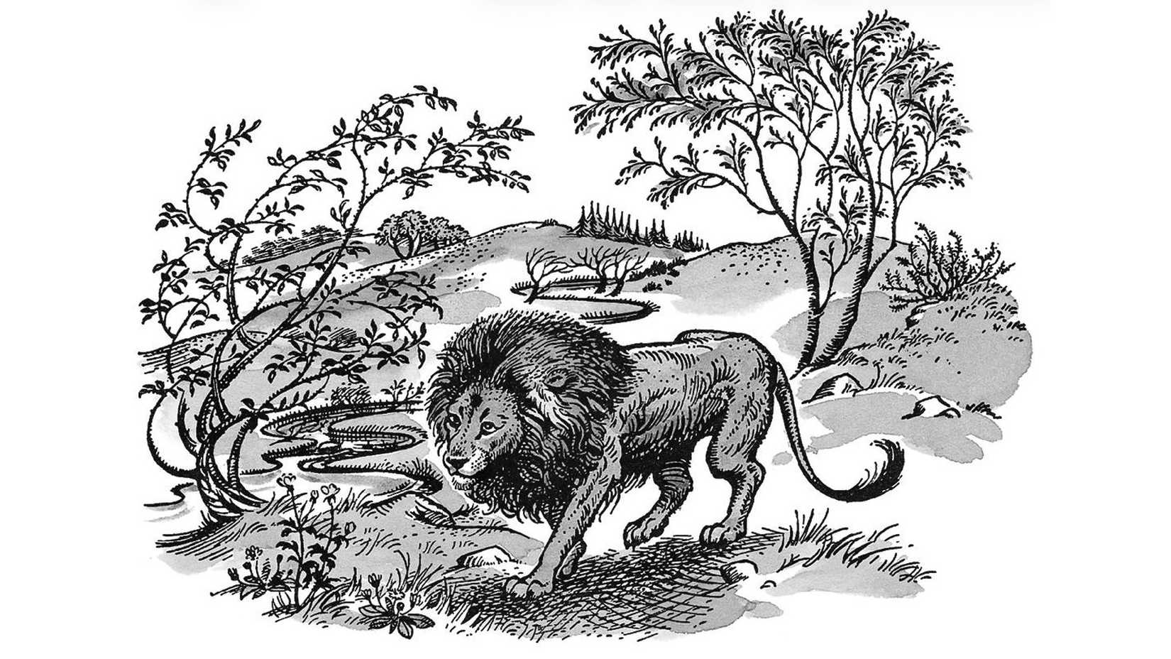 Netflix's Narnia Reboot Is Already the Movie Event of the Decade
