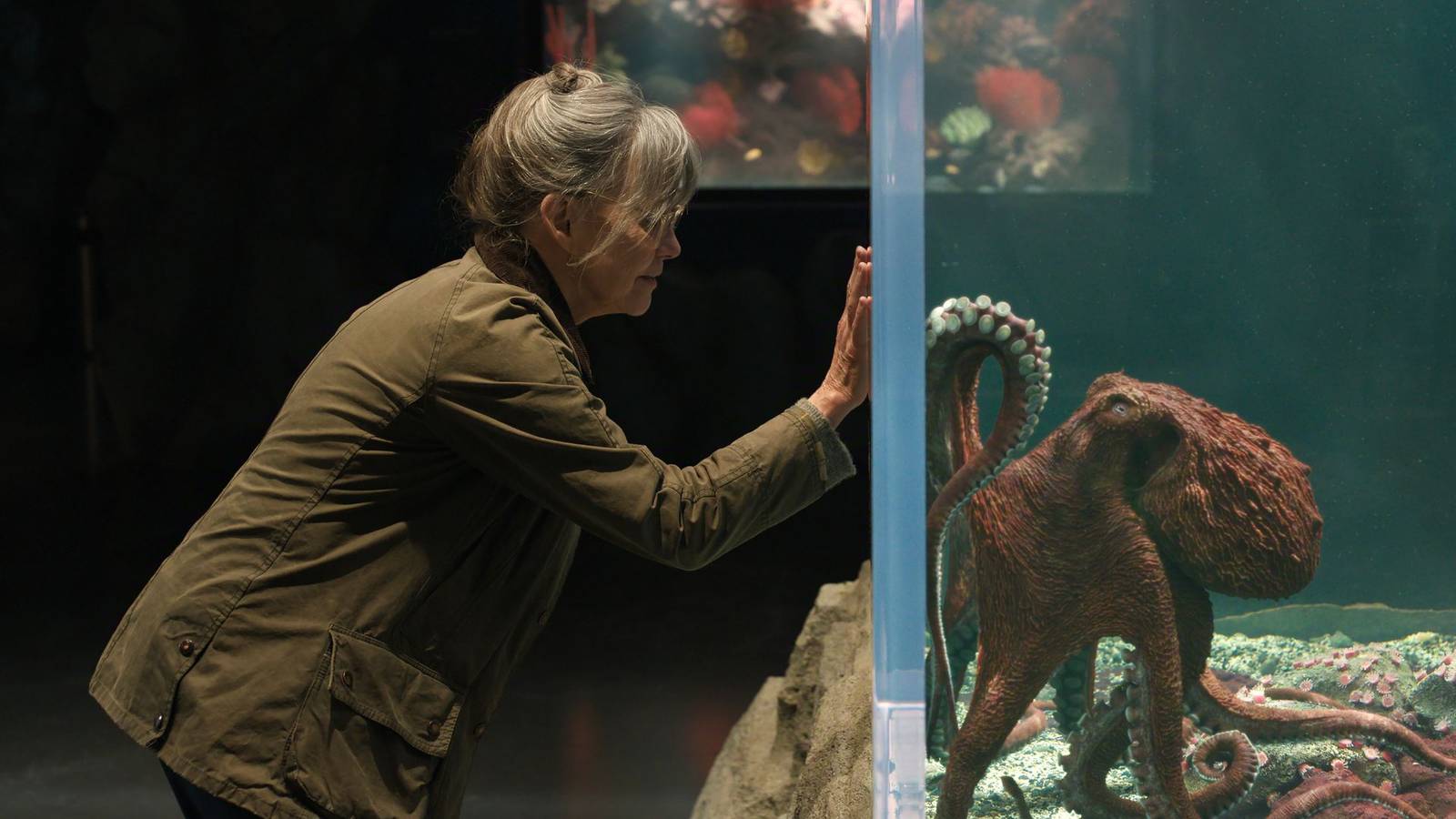 Netflix's 'Remarkably Bright Creatures' Biggest Change from the Book
