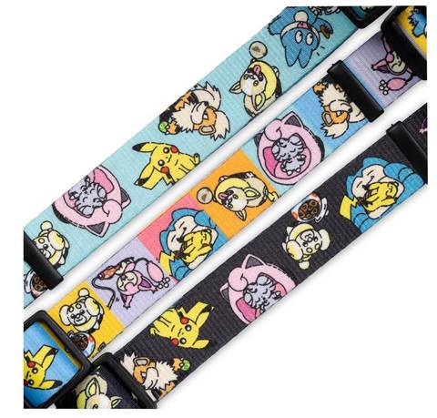 Pokémon Officially Launching New U.S. Accessories for Your ‘Playful ...