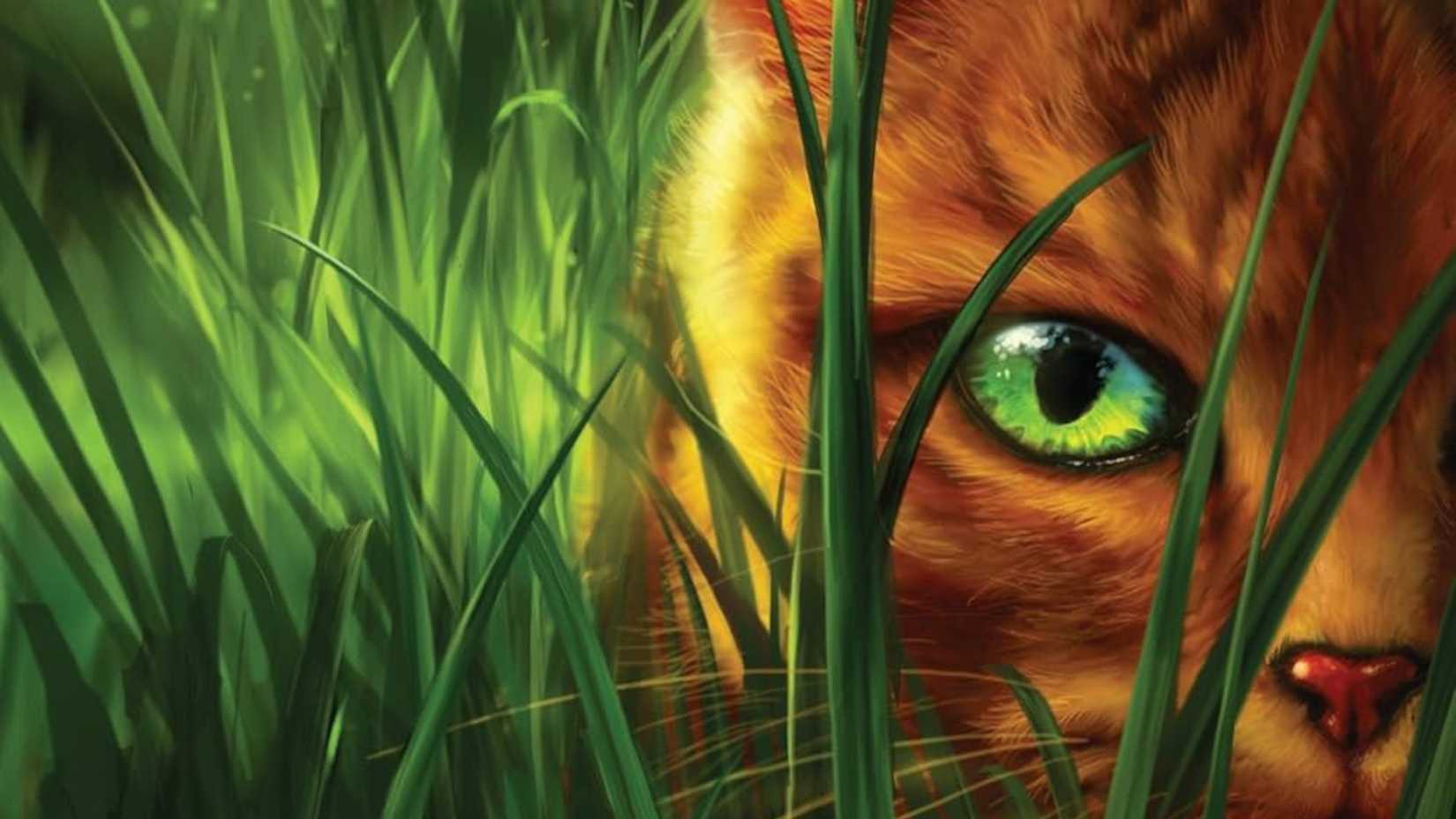 Warrior Cats TV Series Officially in the Works at Major Streamer