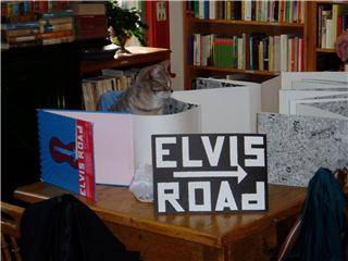 Elvis Road Review