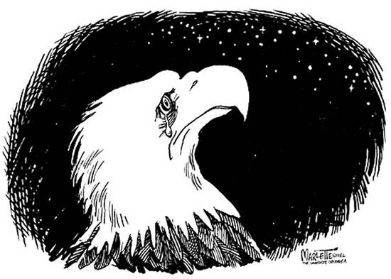 Stars of Political Cartooning - Doug Marlette