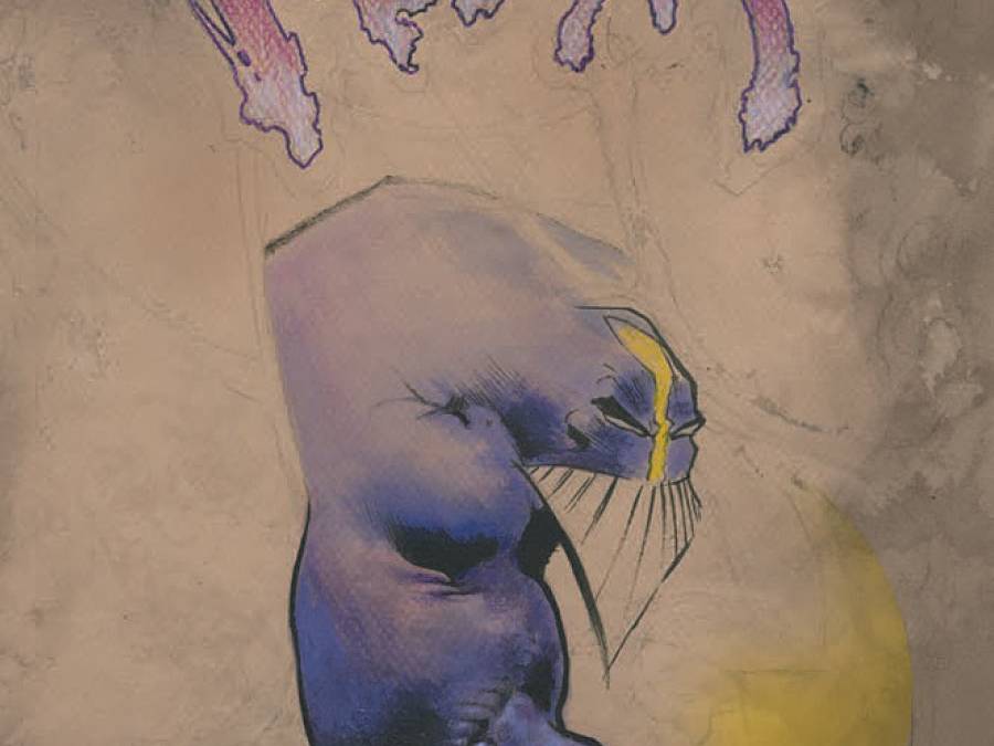 The Maxx: Maxximized #25