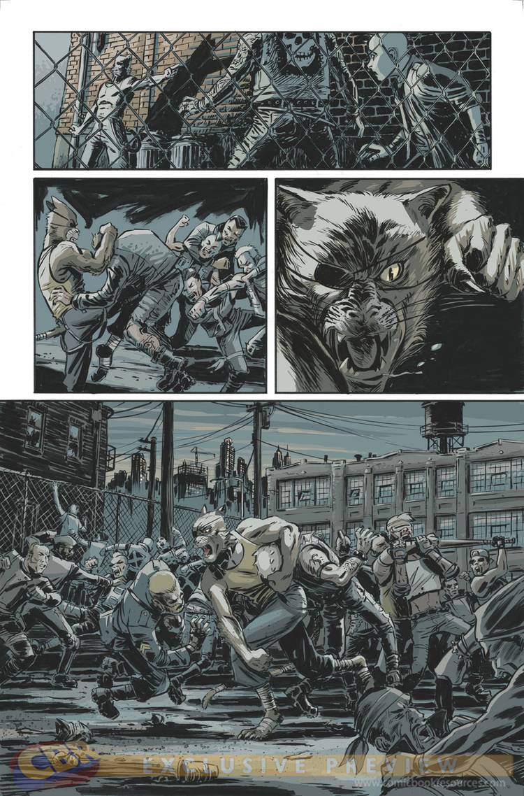 Ciaramella Guides "TMNT's" Old Hob on a New Path