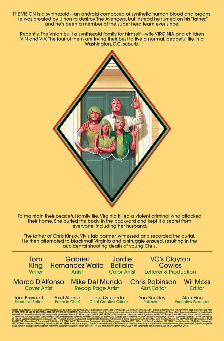 The Vision #5