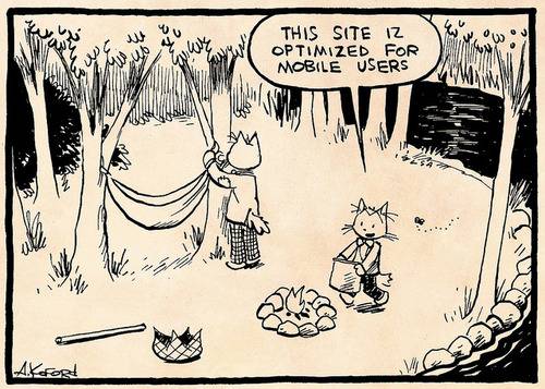 Hobo cats of the Internet