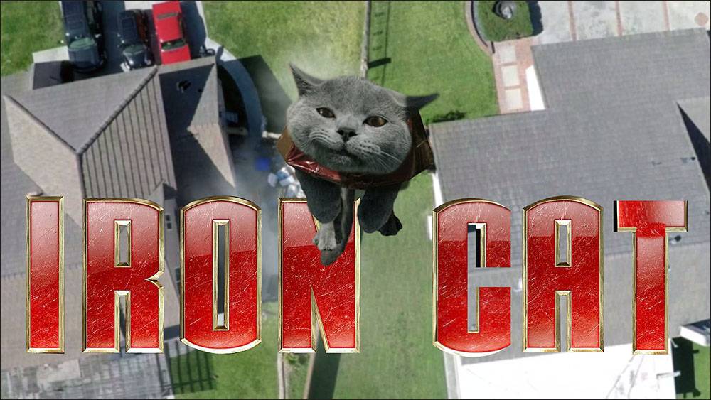In 'Iron Cat,' a frustrated feline takes flight