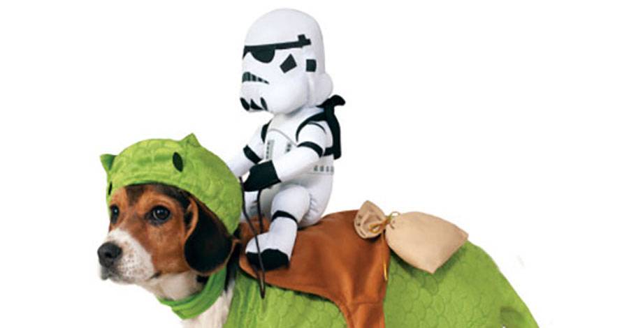 Unleash the cute side of the Force with 'Star Wars' dog costumes