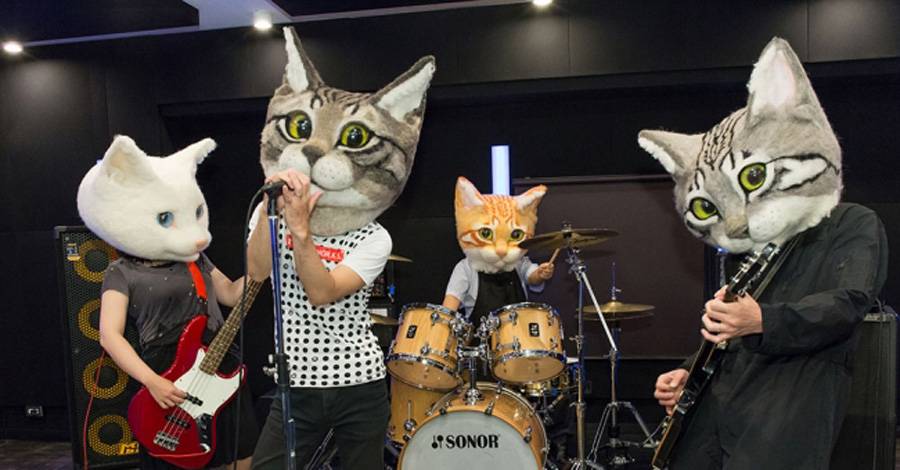 You can finally have that realistic giant cat mask you've always wanted