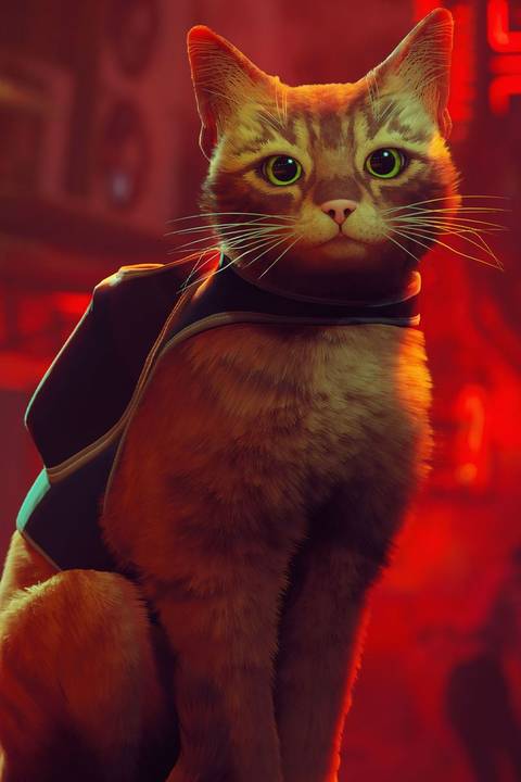 10 Best Cat Games on Steam