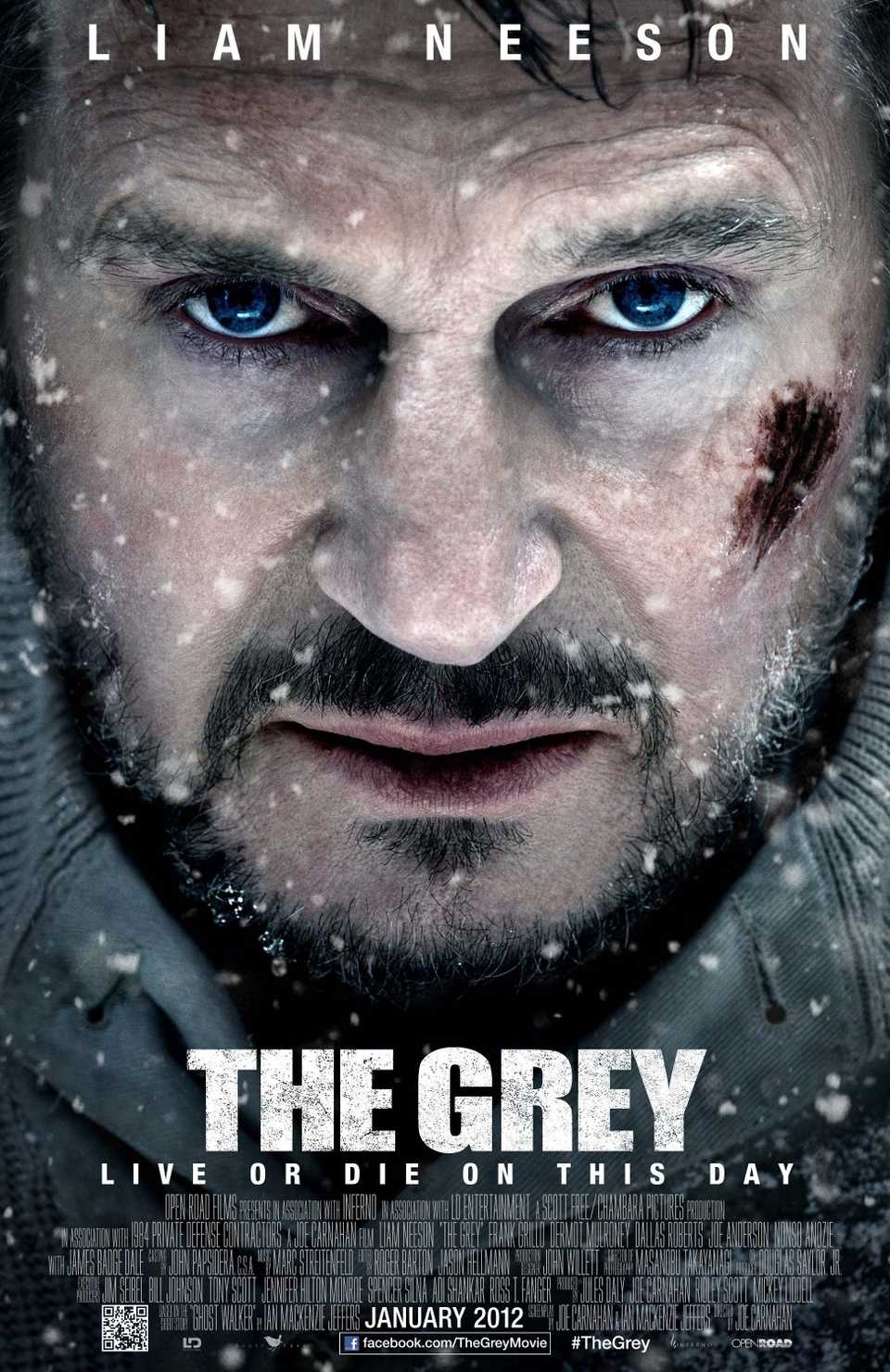 The Grey Is Still Liam Neeson's Grittiest Performance