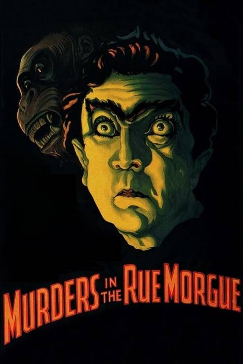 10 Most Terrifying Horror Movie Monkeys to Catch Before Stephen King’s ...