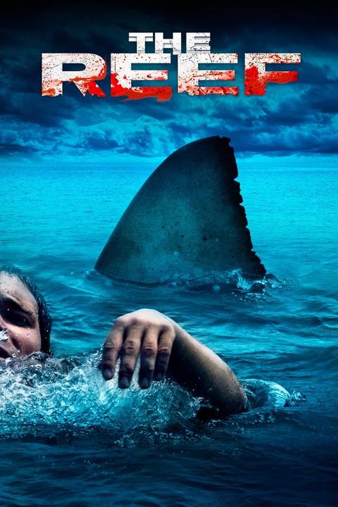 12 Scary Shark Movies Inspired By Real Events
