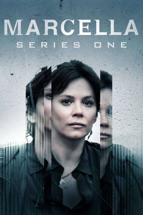 10 Unforgettable Crime Shows to Watch if You Miss Ballard