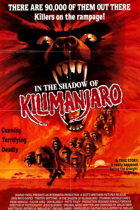 10 Most Terrifying Horror Movie Monkeys to Catch Before Stephen King’s ...
