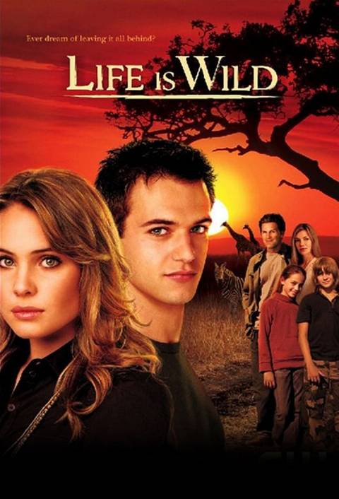 15 Best CW Shows of the 2000s, Ranked