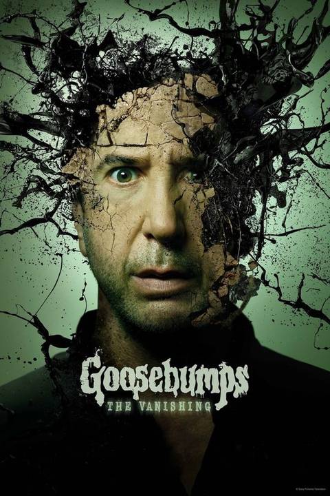 'How Do We Make It Funny?': Friends' David Schwimmer Brings Laughs to ...