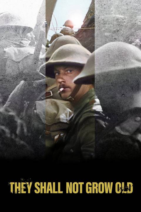 10 Most Historically Accurate WWI Movies, Ranked