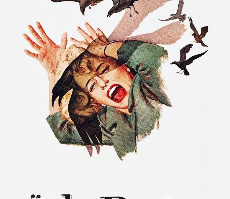The Birds | CBR