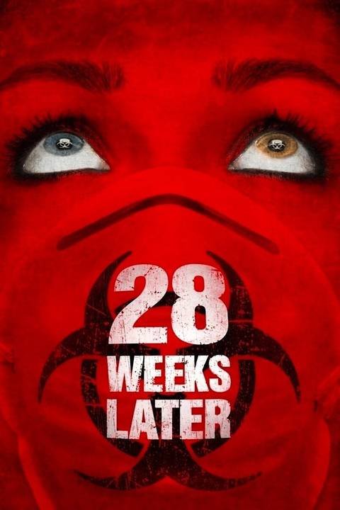 10 Post-Apocalyptic Zombie Movies to Watch if You Loved 28 Years Later