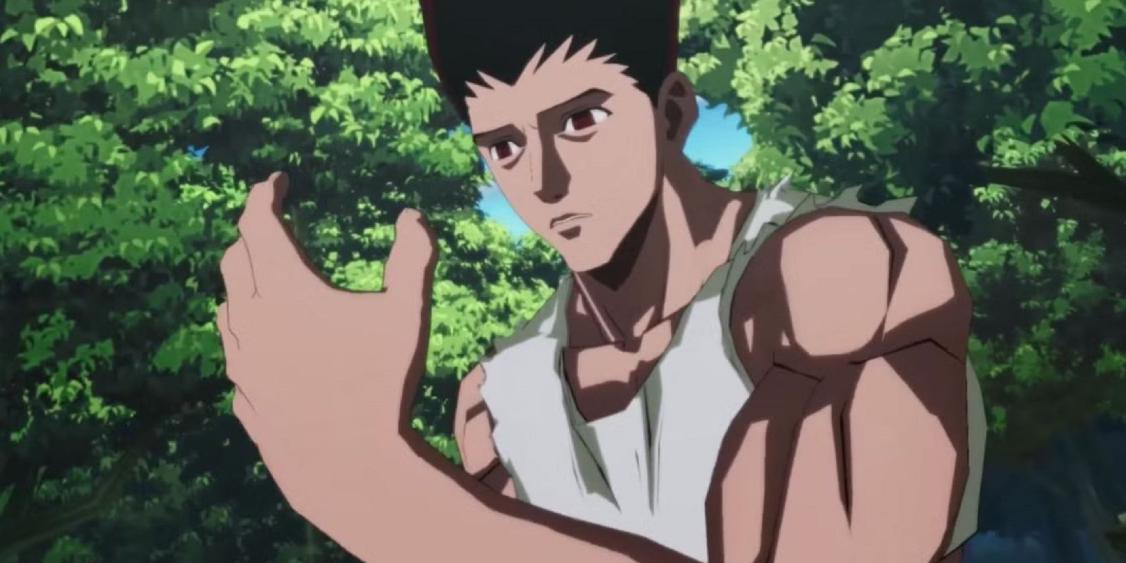 Hunter x Hunter Fans Finally Get Great News After 4-Month Wait