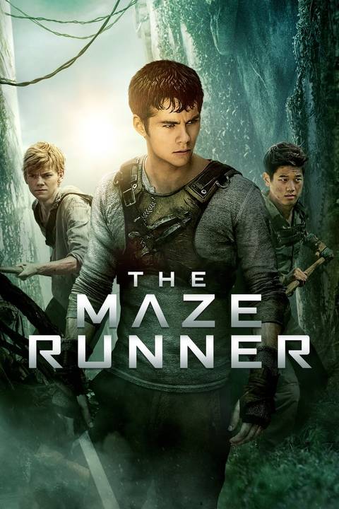 Dylan O'Brien Says Safety Concerns on Maze Runner Set Were Ignored ...