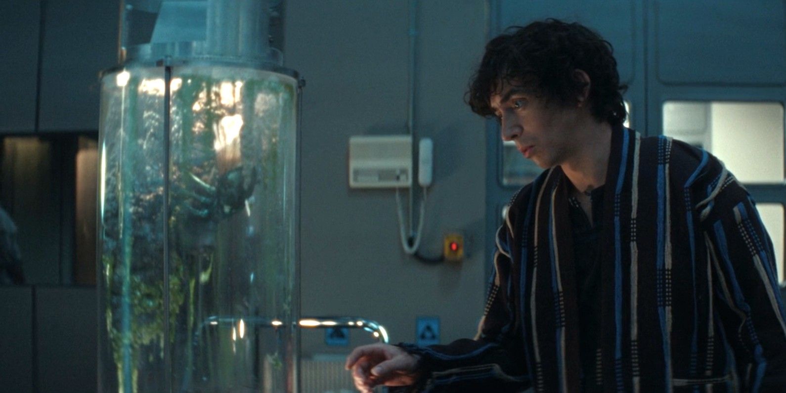 Everything We Know About Alien: Earth Season 2: Is It Renewed, and What ...