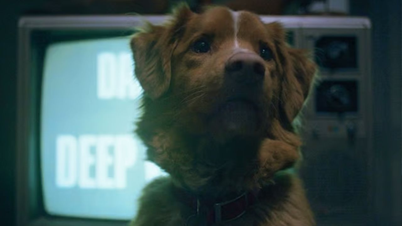 Good Boy's Rotten Tomatoes Score Has the Critics & Audience in Agreement