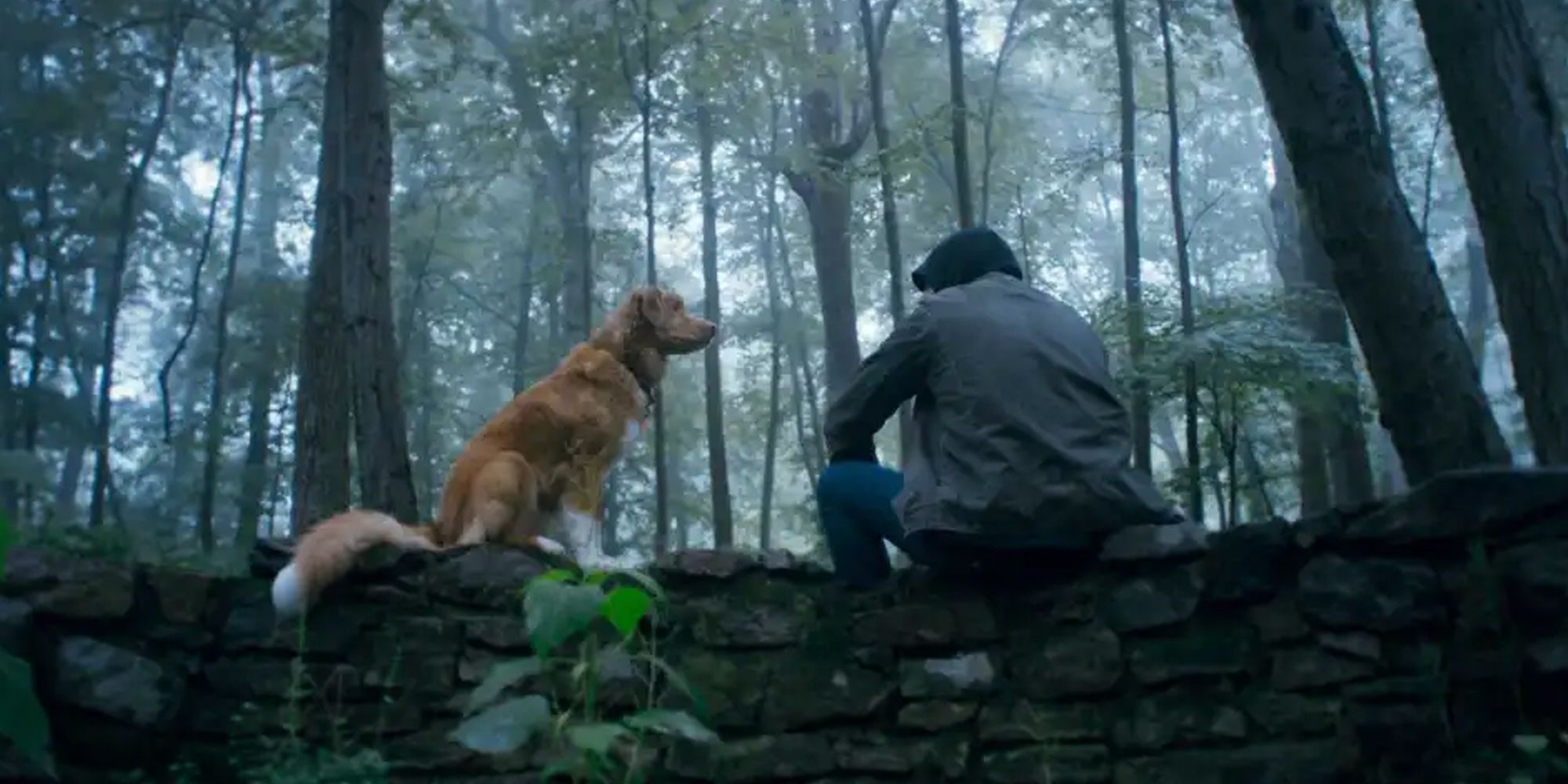 Good Boy's Rotten Tomatoes Score Has the Critics & Audience in Agreement