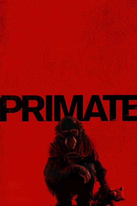 Horror Movie Primate Becomes an Instant Streaming Success on Paramount+