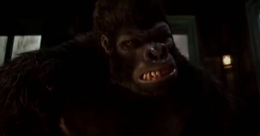 "The Flash" Recap: Grodd Returns in "Gorilla Warfare"