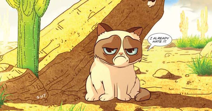 "Grumpy Cat" Lends Her Special Brand of Cheer to All-New Comics, Webcomics