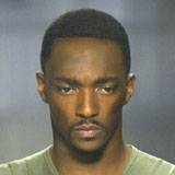 Anthony Mackie to Celebrate Holidays With Seth Rogen, Joseph Gordon-Levitt