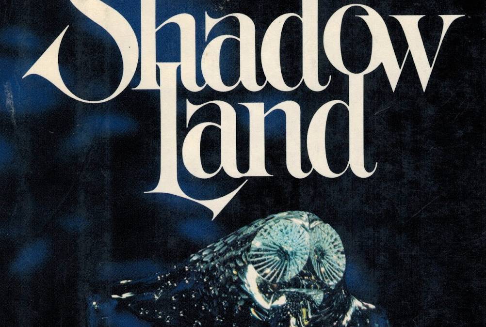 David S. Goyer Adapting Peter Straub's 'Shadowland' As Limited TV Series