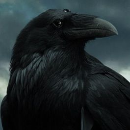 Three-Eyed Raven Brings Brief 'Game of Thrones' Teaser | CBR