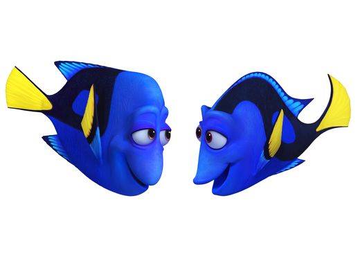'Finding Dory' Images Spotlight Dory and Her Friends, Both Old and New