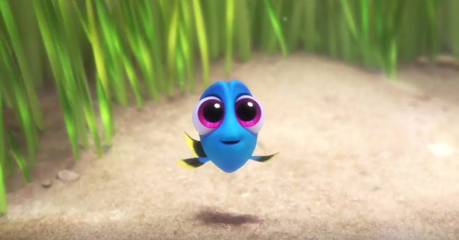 Baby Dory is Unforgettably Adorable in This New 'Finding Dory' Clip